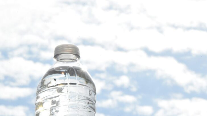 The Complete History of "Not Happy Jan" the Yellow Pages TV Commercial ...